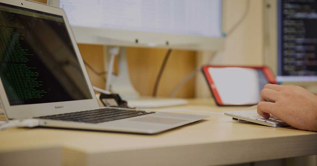 Software Development Company About Roar Software
